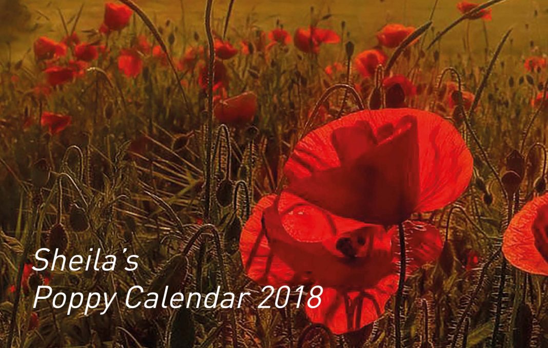 Poppy Calendar on sale for a good cause - The Leader