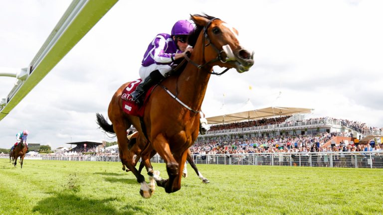 FIRST PAST THE WINNING POST - News, Sport, Information, Property ...