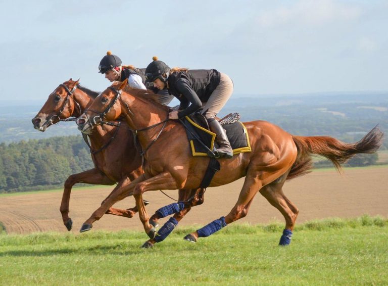 ATKINSON HITS BOOKIES FOR SIX! - The Leader