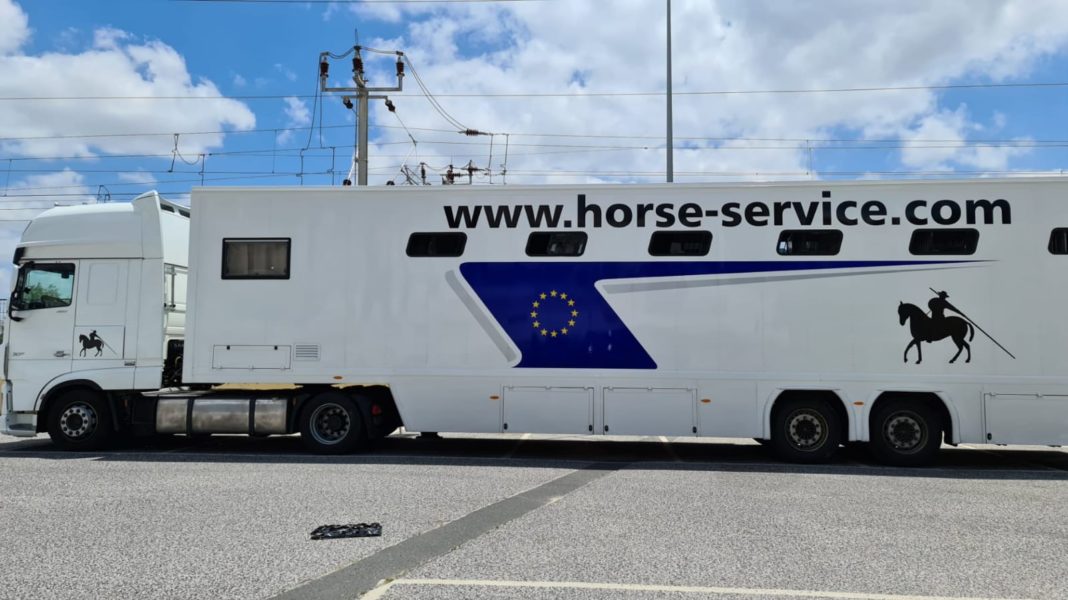 Rescue Centre goes international - News, Sport, Information, Property ...