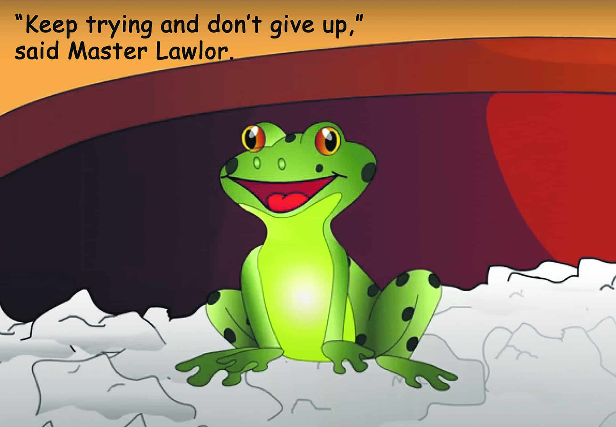 You Can’t Be Serious - Nothing more focussed than a fixated frog ...