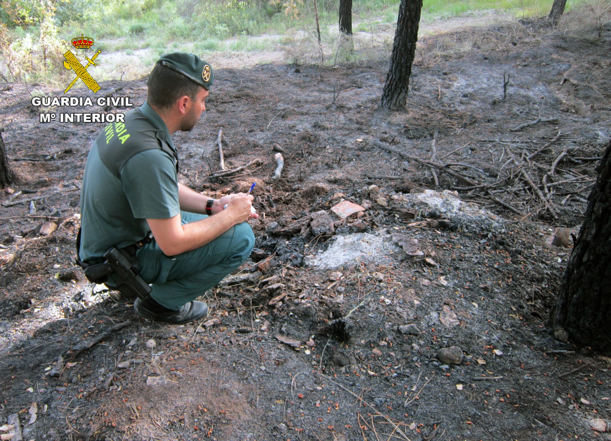 Barbecue Sparks Forest Blaze in Natura 2000 Zone - News, Sport ...